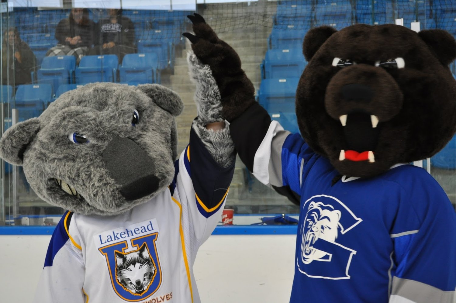 Memory Game | eCampusOntario H5P Studio