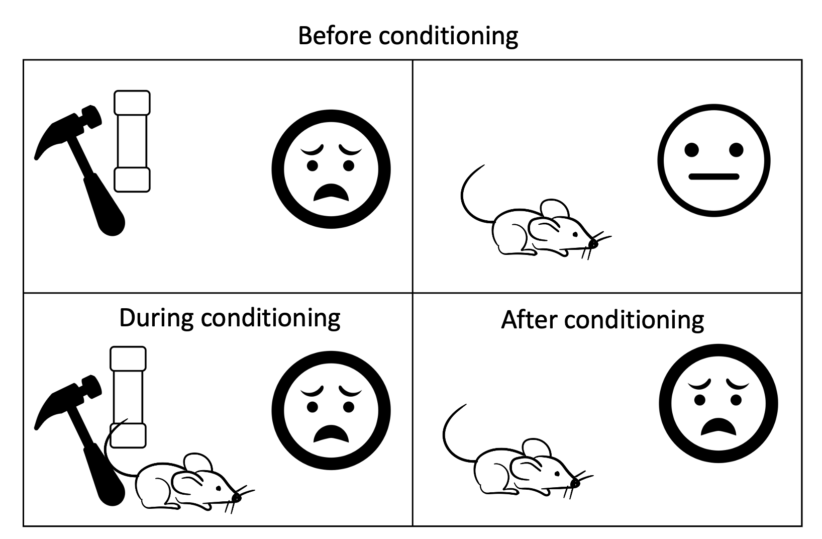 Classical Conditioning Little Albert