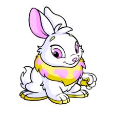 Match the different Neopet species! | eCampusOntario H5P Studio